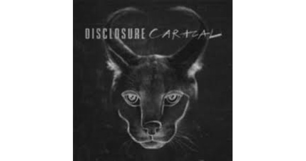 CD Disclosure - Caracal